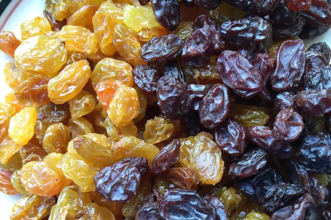 ¿Pueden los pollos comer pasas? (Nutrición, beneficios y consejos de ...